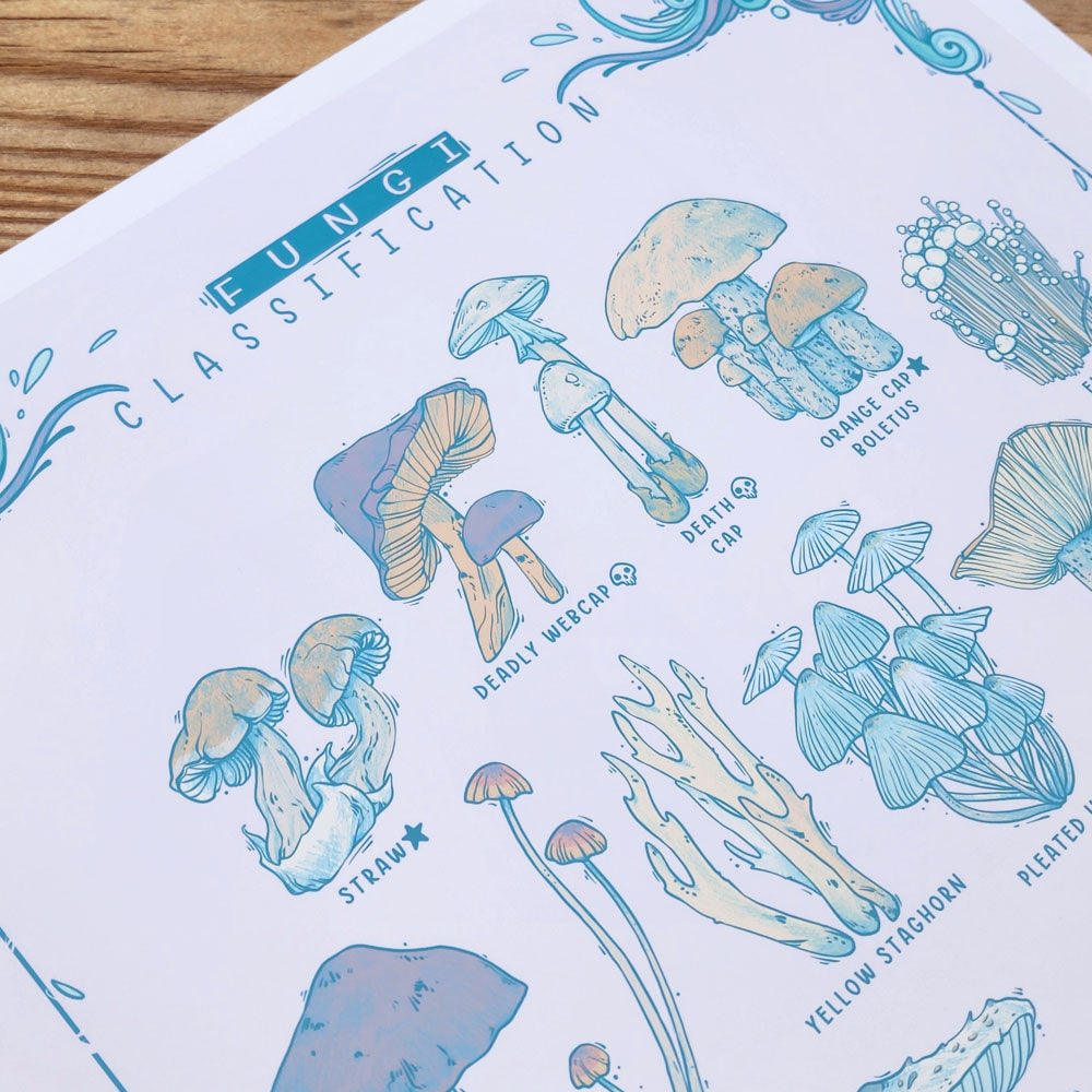 FUNGI CLASSIFICATION PRINT – salzonestudio